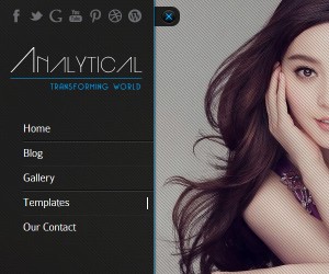 Analytical WordPress Theme