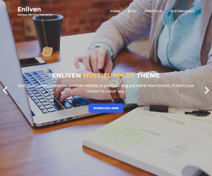Enliven WordPress Theme