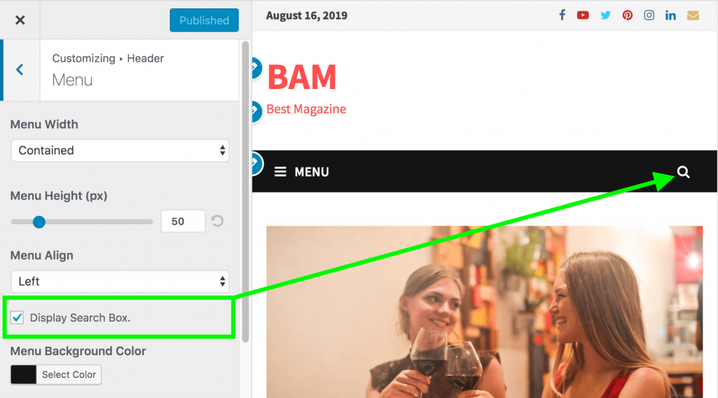 Bam Pro WordPress theme documentation-ThemezHut