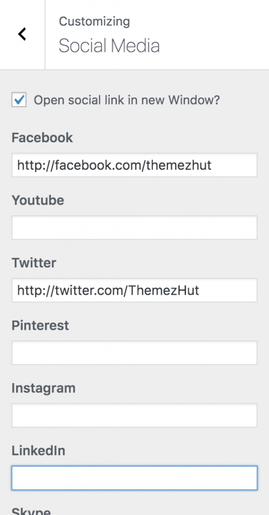 Bam Pro WordPress theme documentation-ThemezHut