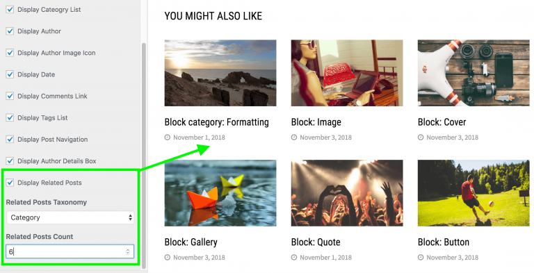 Bam Pro WordPress theme documentation-ThemezHut