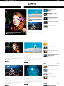 Bam WordPress Theme - ThemezHut